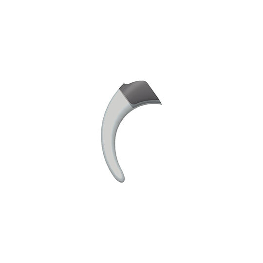 Shop Nucleus 6 Earhook | Cochlear Store